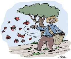 La lutte biologique, une alternative aux pesticides par Pierre Venel ...