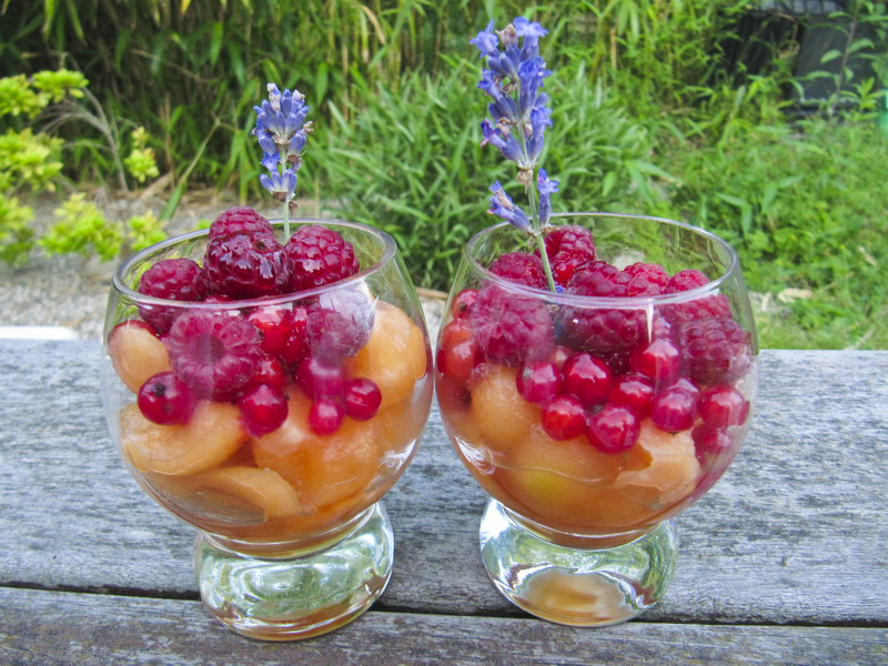 Verrines de fruits frais - L'écolomag